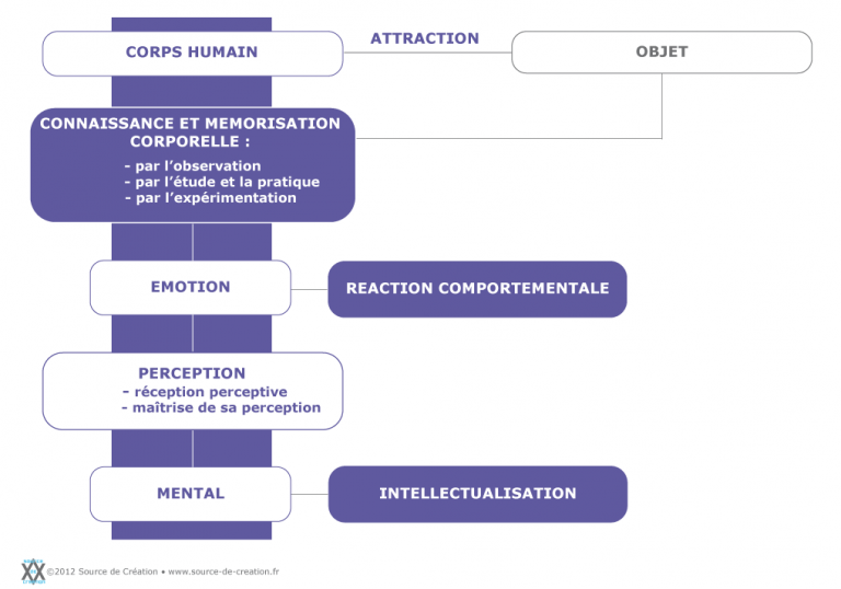 De la connaissance corporelle à l'intellectualisation - Source de Création